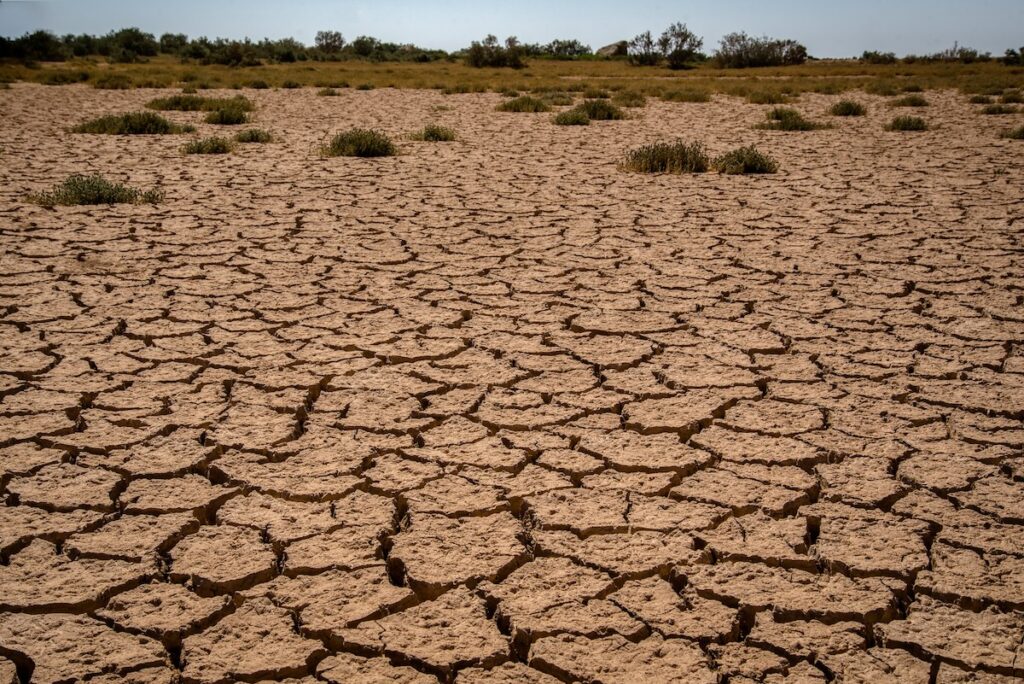 WRMC Updates - World Refugee and Migration Council